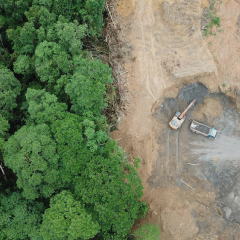 Deforestation- and Conversion-Free Supply Chains & Governance | WWF ...